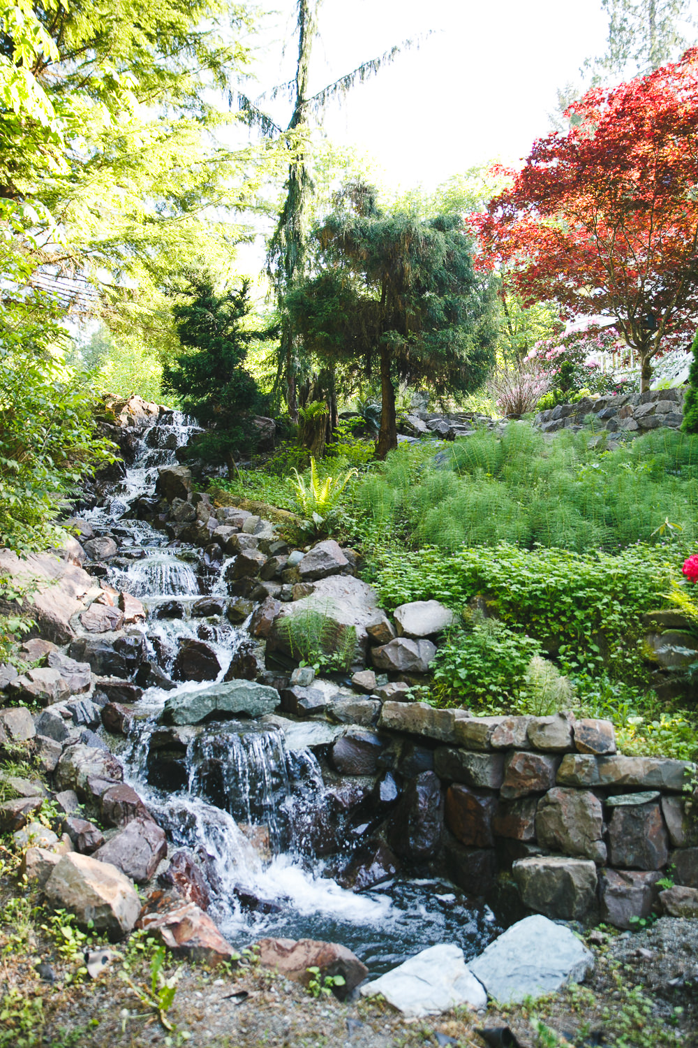 Arborea Falls | Woodinville, WA | Woodland magic