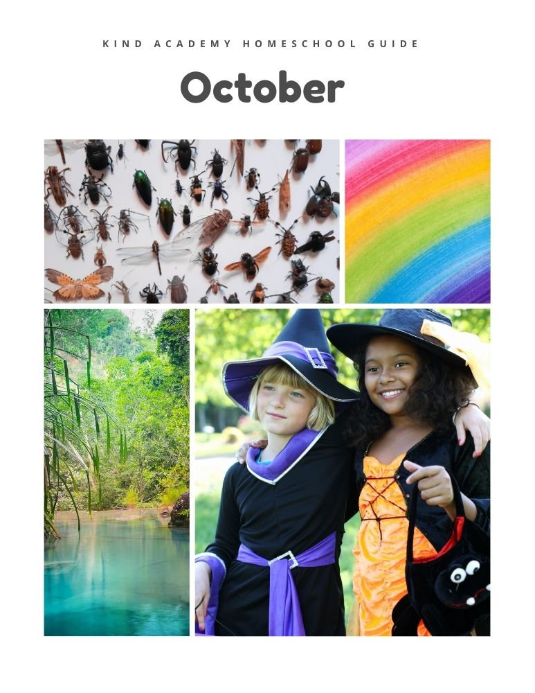 Freebie Friday! Minibeast Edition