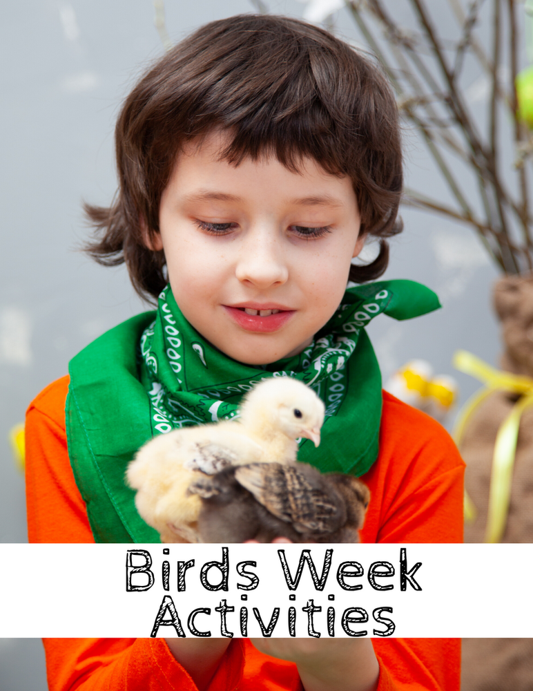 Birds Week at Nature School