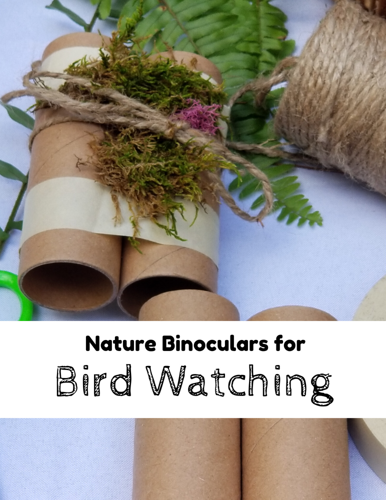 Birds Week at Nature School