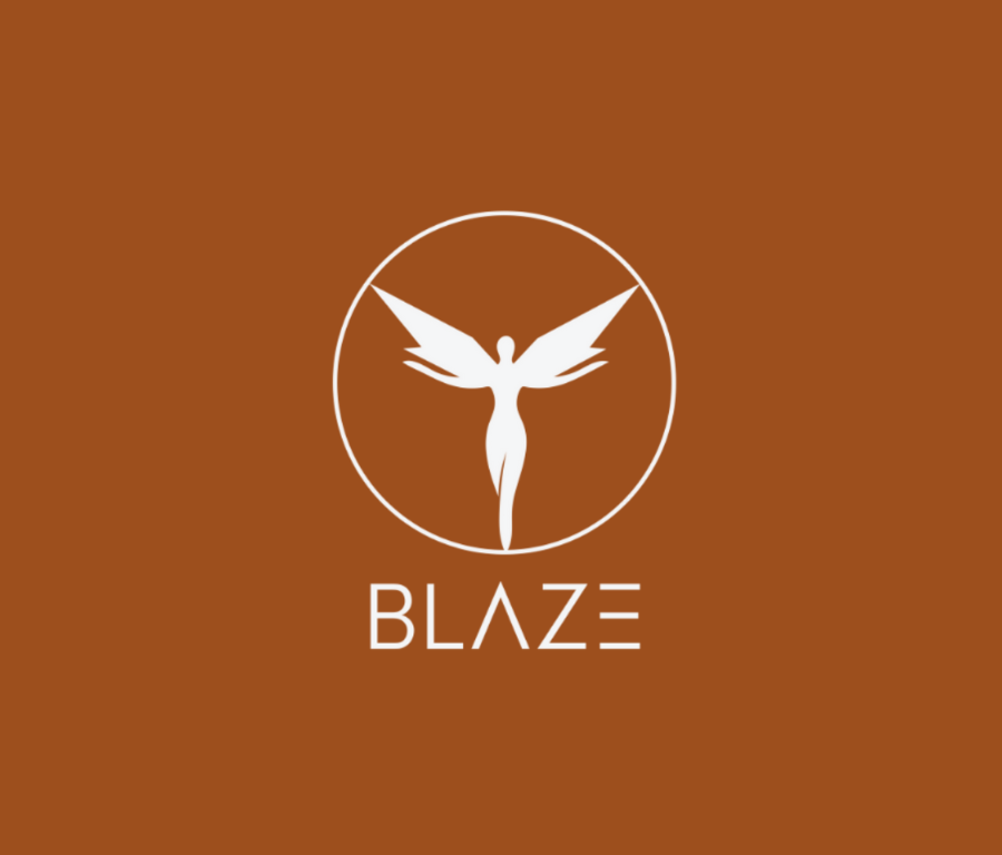 FinTech Education | Blaze Group