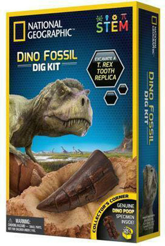 National Geographic Dino Fossil Dig Kit | Family Fun Shop