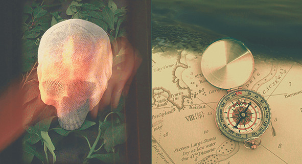 Barbara Freeman films