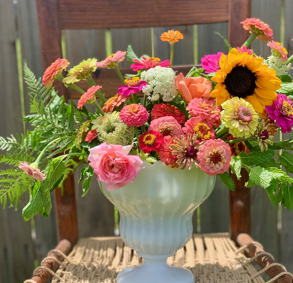 Small Farm | Hamiltonville Farm