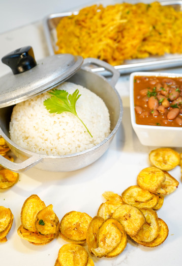 Gallery | El Cilantrillo