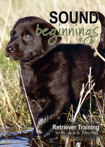 Sound Beginnings Puppy Training | YBS Media