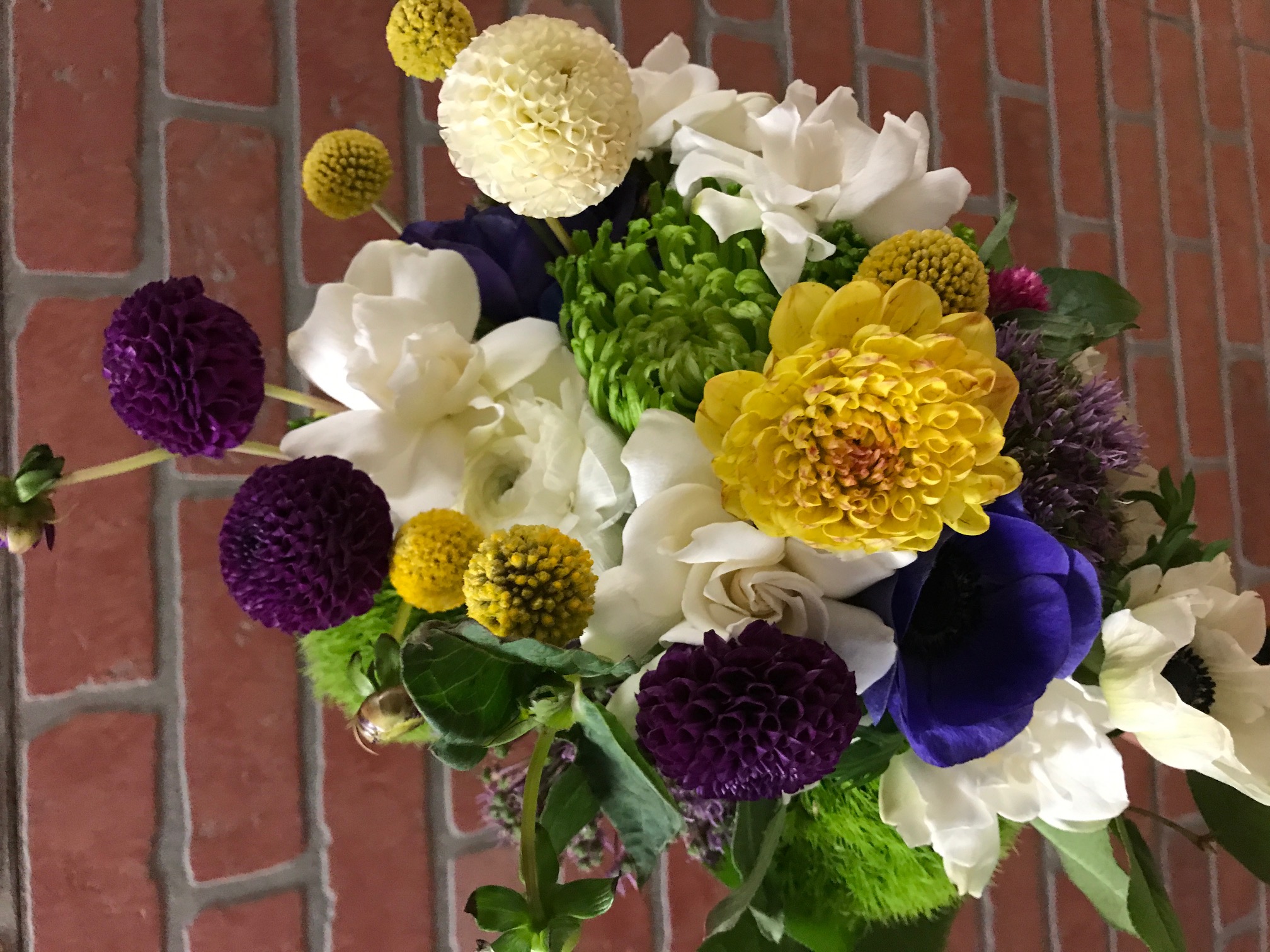 Home | redlilydesign.com