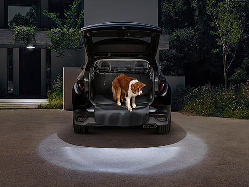 LED trunk and tailgate lights | Mobis Miami Parts