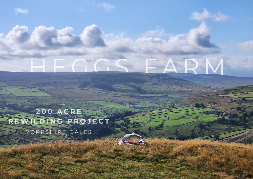 Wild Camping at Heggs Farm | CampWild | Wild Camping UK | Join Today