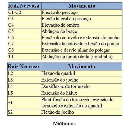 Exame Neurológico | Roteiros Pediatria