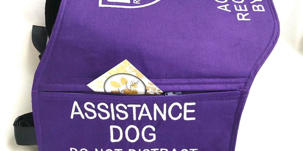 Assistance Dog Gear Line | Raddogsinc