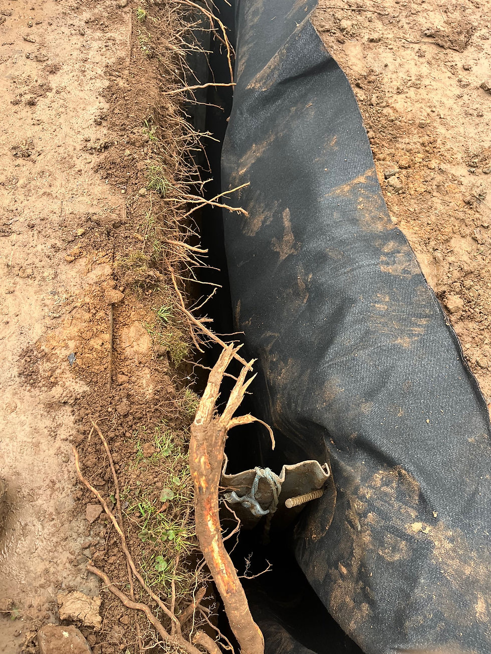 Cooper root barrier with concrete backfill