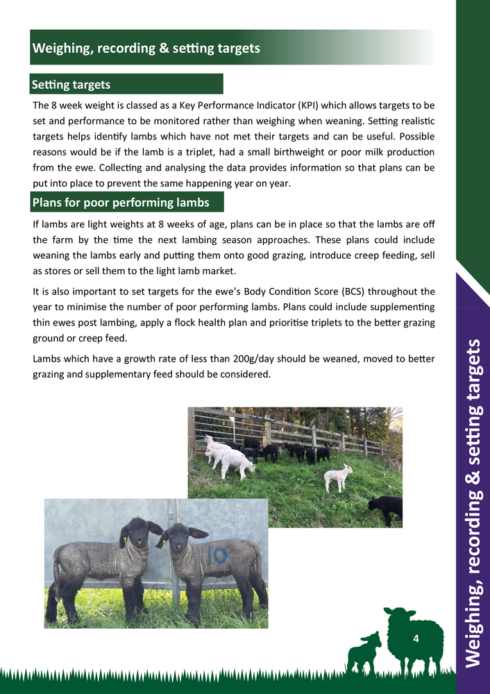 DN Tech Brief; Lamb Feeding Guide