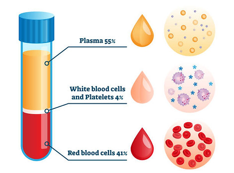 Blood Components | Bloodbank