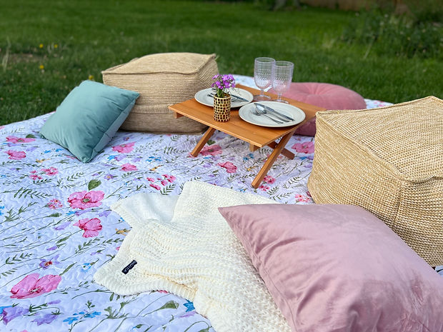 Home | Moonlight Picnics