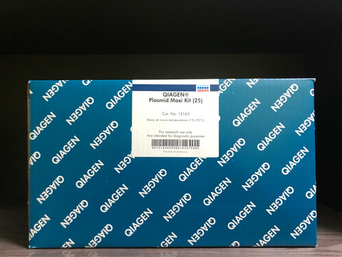 Qiagen, Plasmid Maxi Kit [25Perp], 12163 | 루사이언스