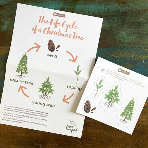 Winter Celebrations Downloadable Box | Woodentots