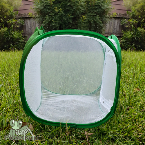 Small Mesh Pop-up Enclosure | Pocket Kaiju