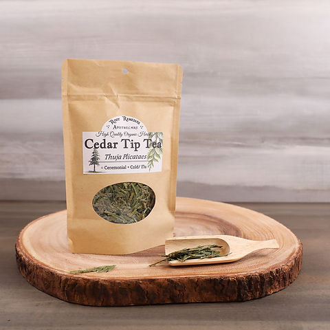 cedar tree leaves tea