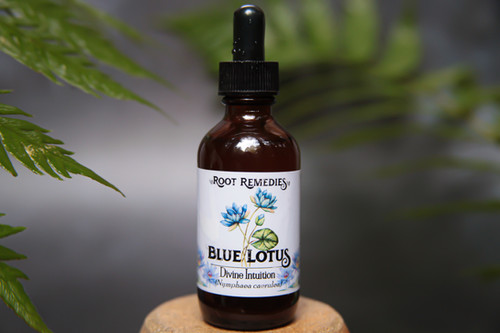 Blue Lotus Tincture | Go Ask Alice
