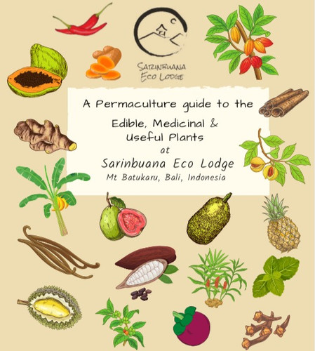 A Permaculture guide to the plants at Sarinbuana Eco Lodge ...