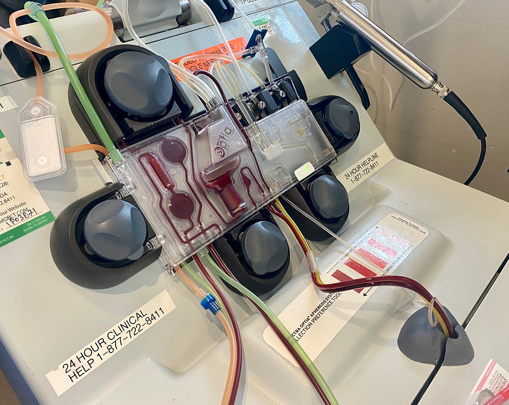 Stem Cell Harvesting - We Got Them!