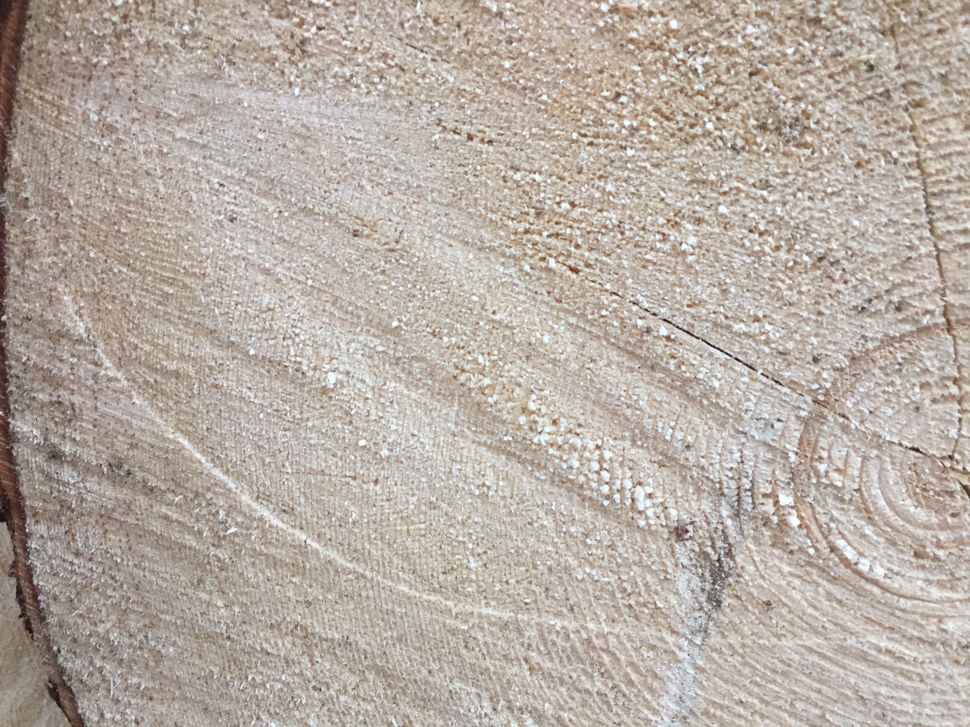 European Tonewood | Online Shop | DREWBAS TONEWOOD