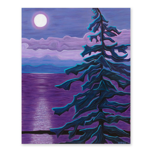 "Midnight Fir" | CanvasPlus Website