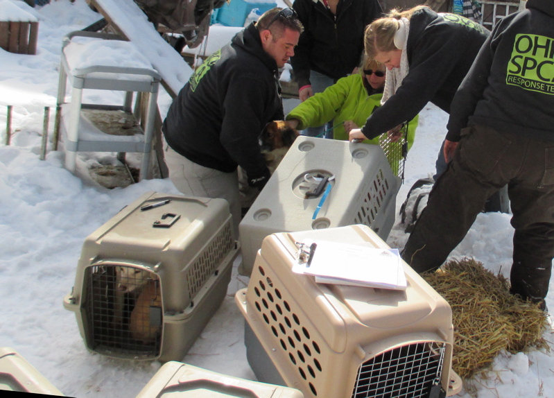 OHIO SPCA REMOVES NEARLY 100 ANIMALS