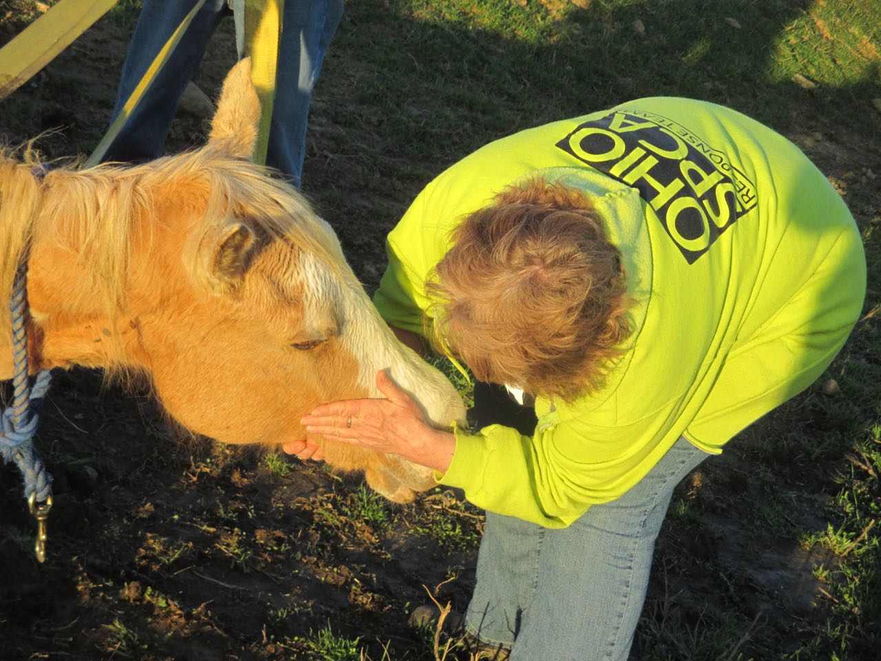 OHIO SPCA EQUINE RESCUE PROGRAM