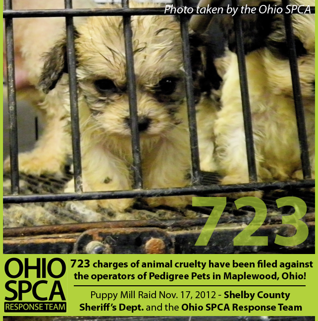 OHIO SPCA PULLS 241 DOGS FROM PUPPY MILL