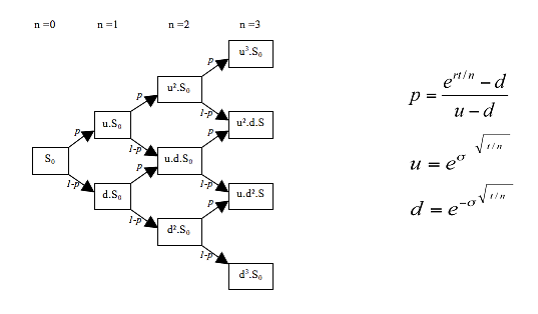 Valuation and code for Binomial Lattice