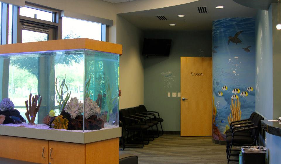 Pediatrician Office Tour | Step By Step Pediatrics