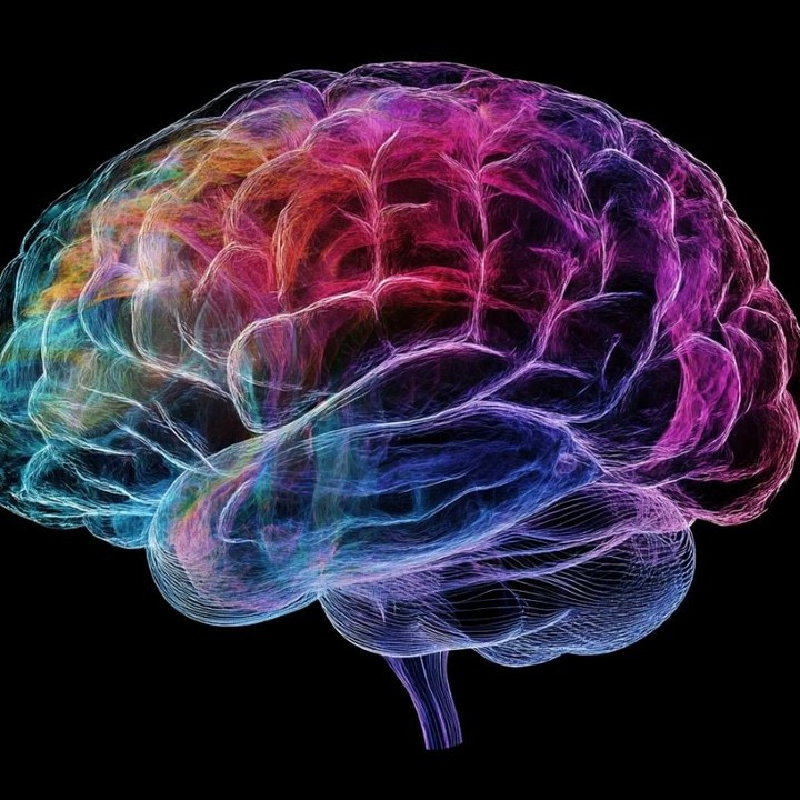 Unlocking the Brain’s Potential: The Science Behind Neurofeedback