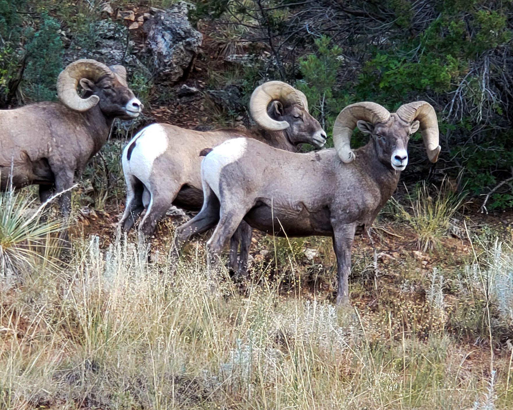 Fine Art Photography and Photography Services: TimeCogs