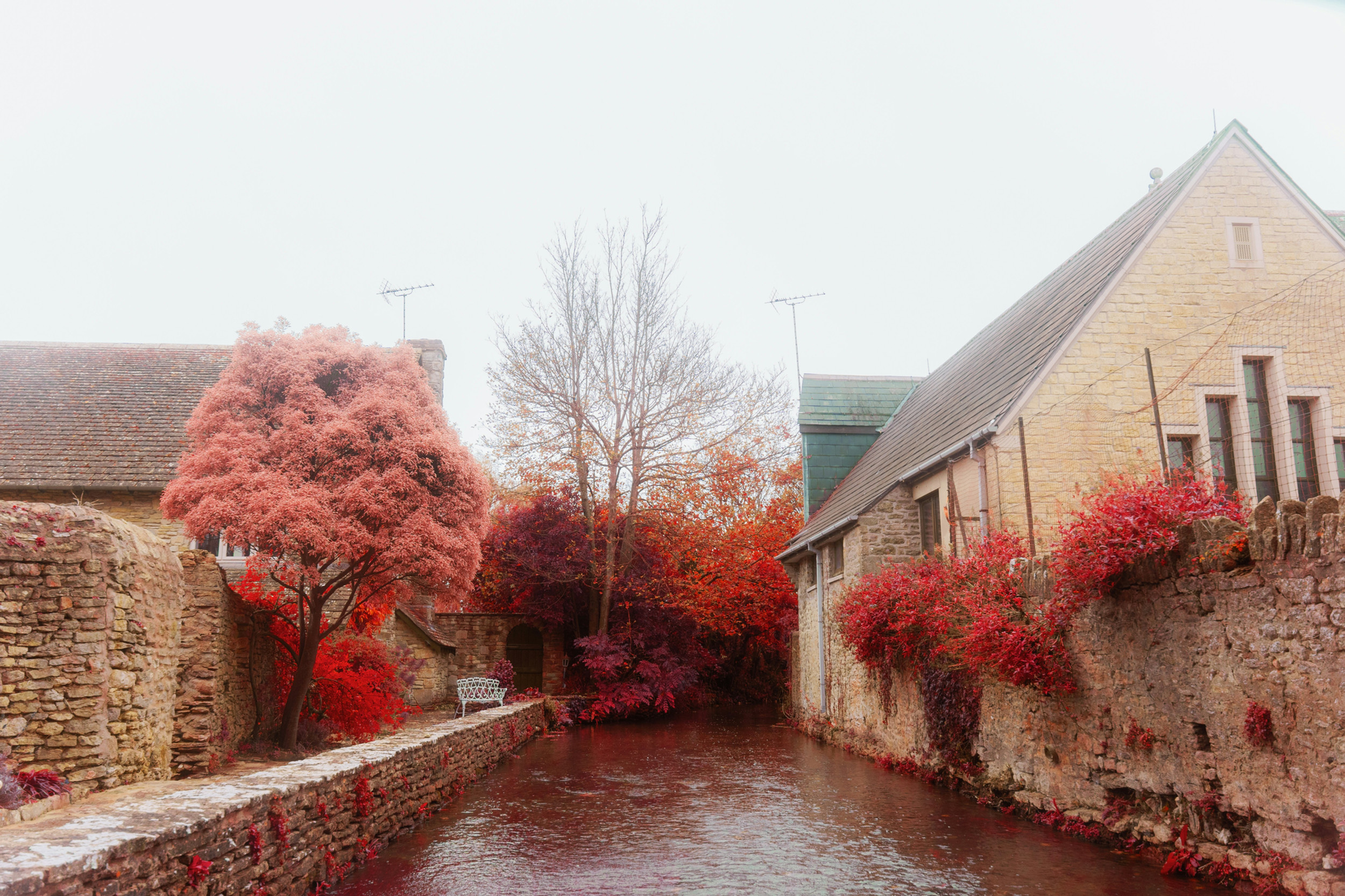 FREEDOM & FASHION with Derek Guy