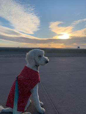 Home | CIBACS E-Portfolio