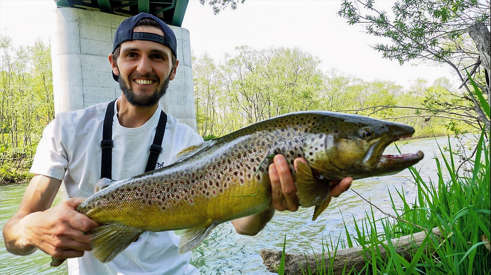 Fishing In Hokkaido – What Species Live In Hokkaido?