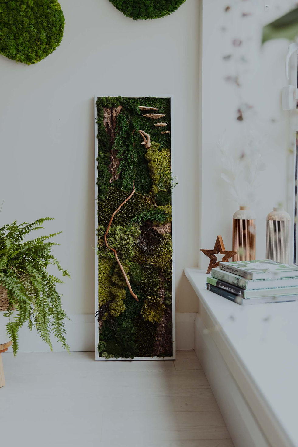 Learn the secrets of moss art, what is preserved nature, how moss and ...