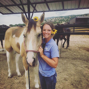 KB Horses: Internship Program