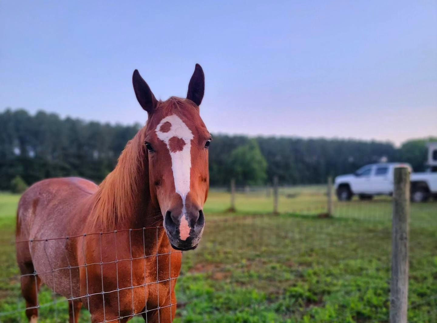 Lessons | Ten Point Ranch