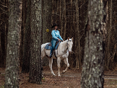 Horse Sales | Ten Point Ranch