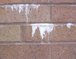 What Is Efflorescence?