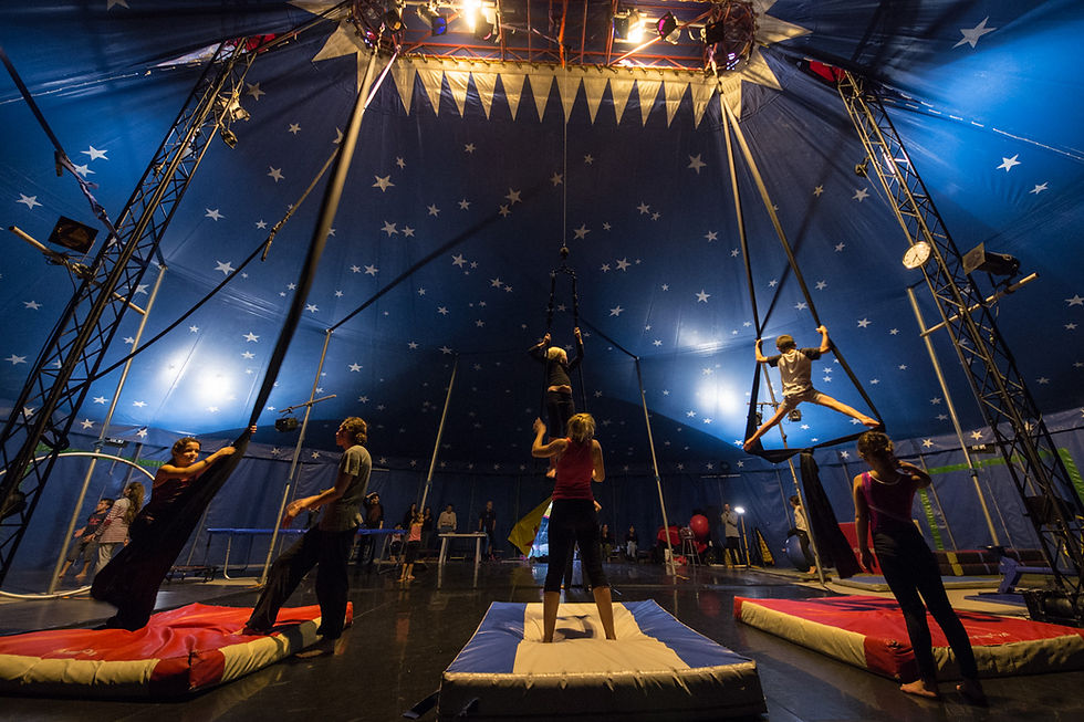 École De Cirque et pole dance Seillons-Source-d'Argens Cirkadance