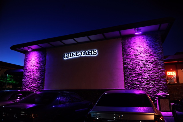 GALLERY | cheetahssunnyvale