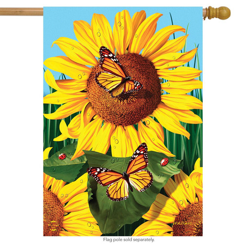 Sunflower Field | Brisa Fresca