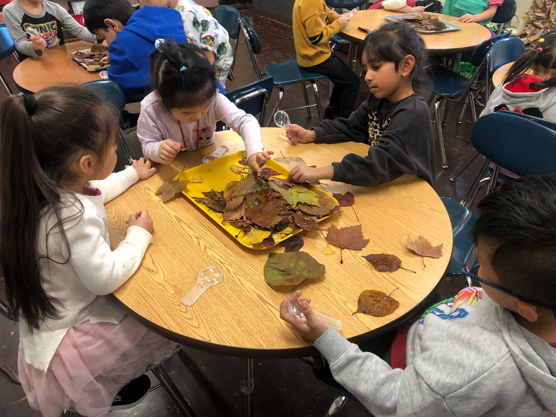 PS/IS 209 Margaret Mead School - 2609 East 7th Street, Brooklyn, New ...
