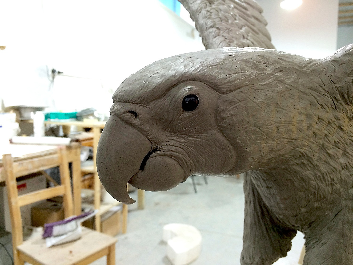 Macaws. Clay Sculpture.