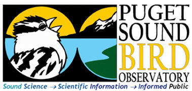 About PSBO | Puget Sound Bird Observatory