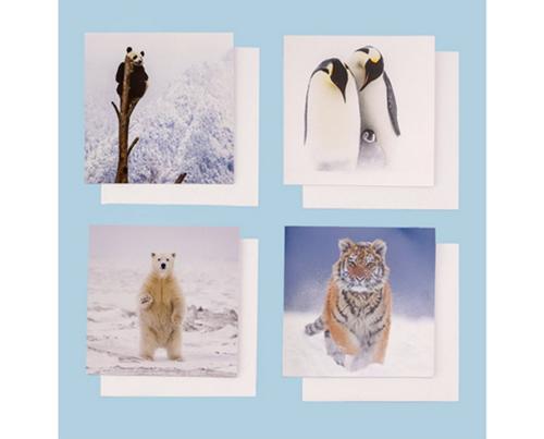 Free WWF Christmas Cards Pack | All Free Stuff